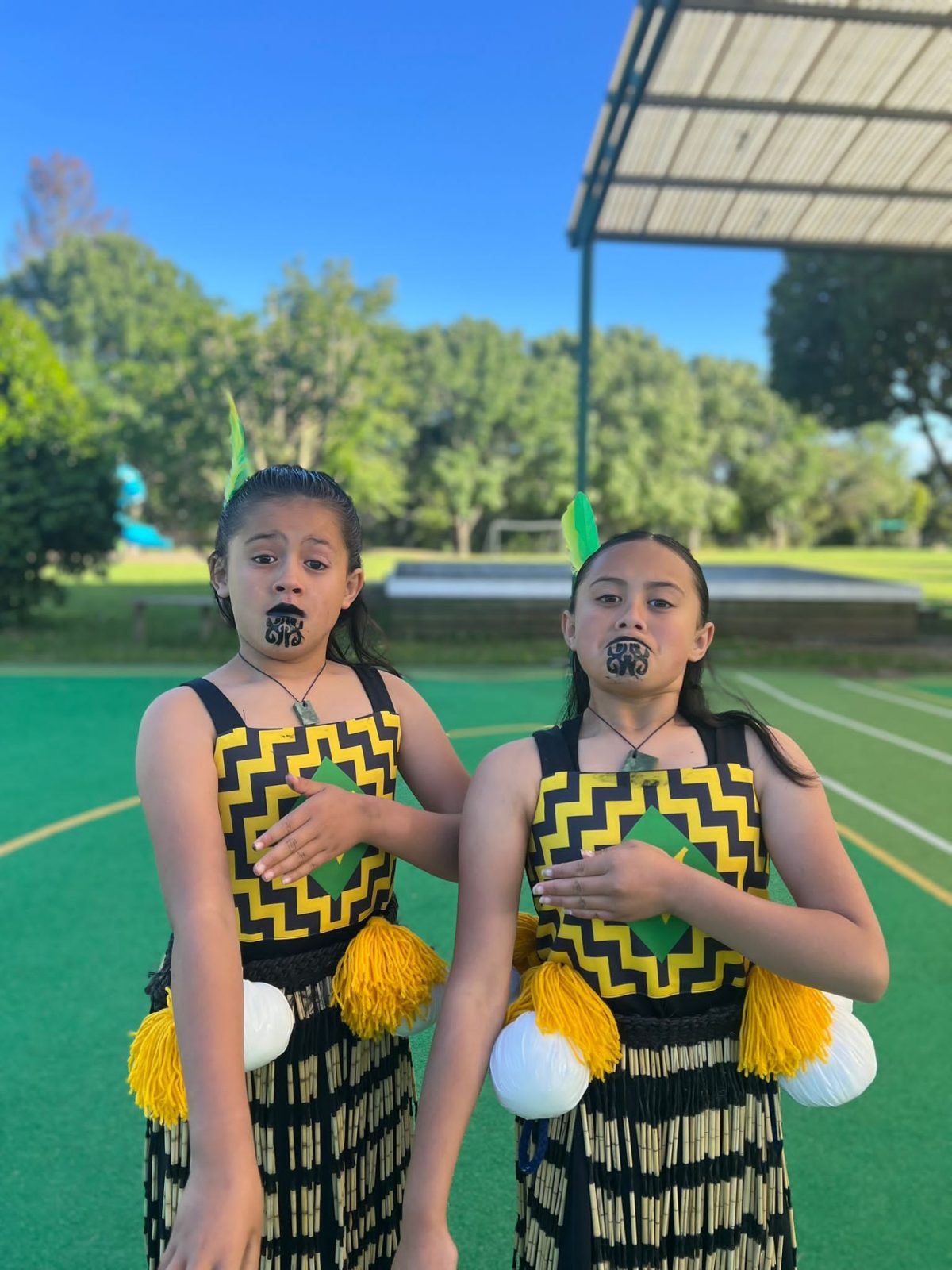 Te Puāwaitanga o te Wairua - Matipo School