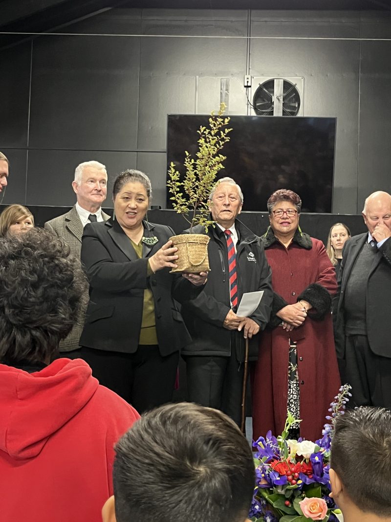 Te Puāwaitanga o te Wairua - Matipo School
